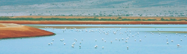 Sustainability - Salt For Life On Earth - Salt Of The Earth